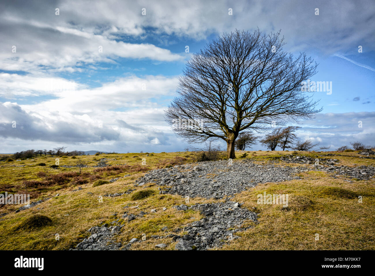 Scout Scar, Kendal, Lake District, England Stock Photo - Alamy