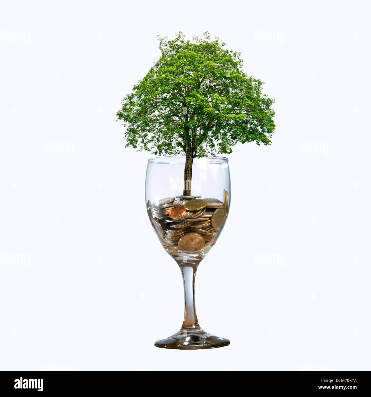 tree Coin glass Isolate hand Coin tree The tree grows on the pile ...