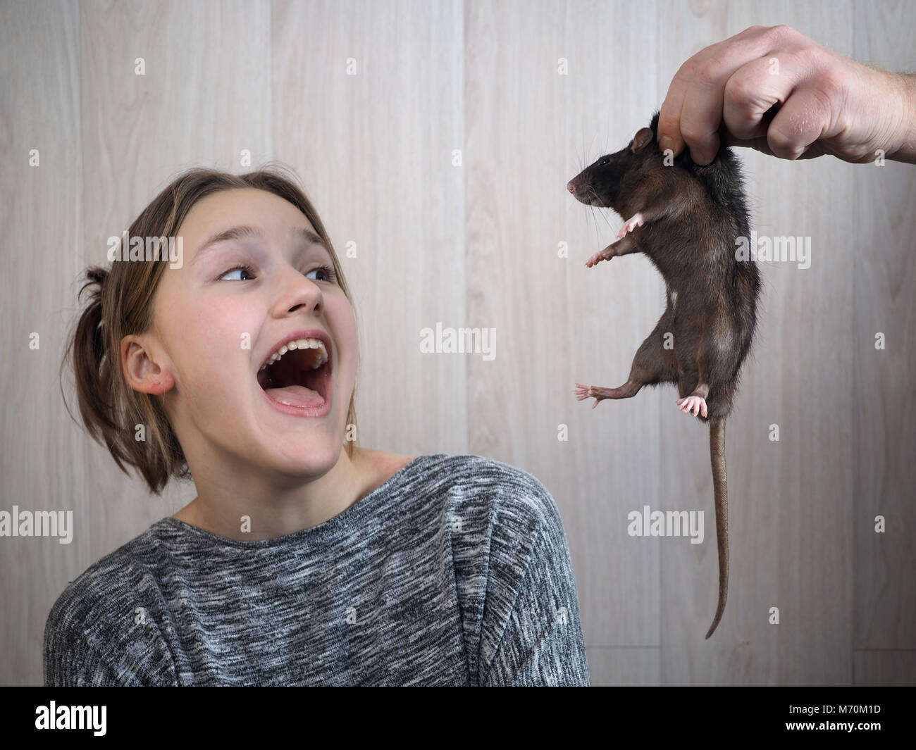 A man's hand shows a rat to a girl. Emotional portrait-fear, scream ...