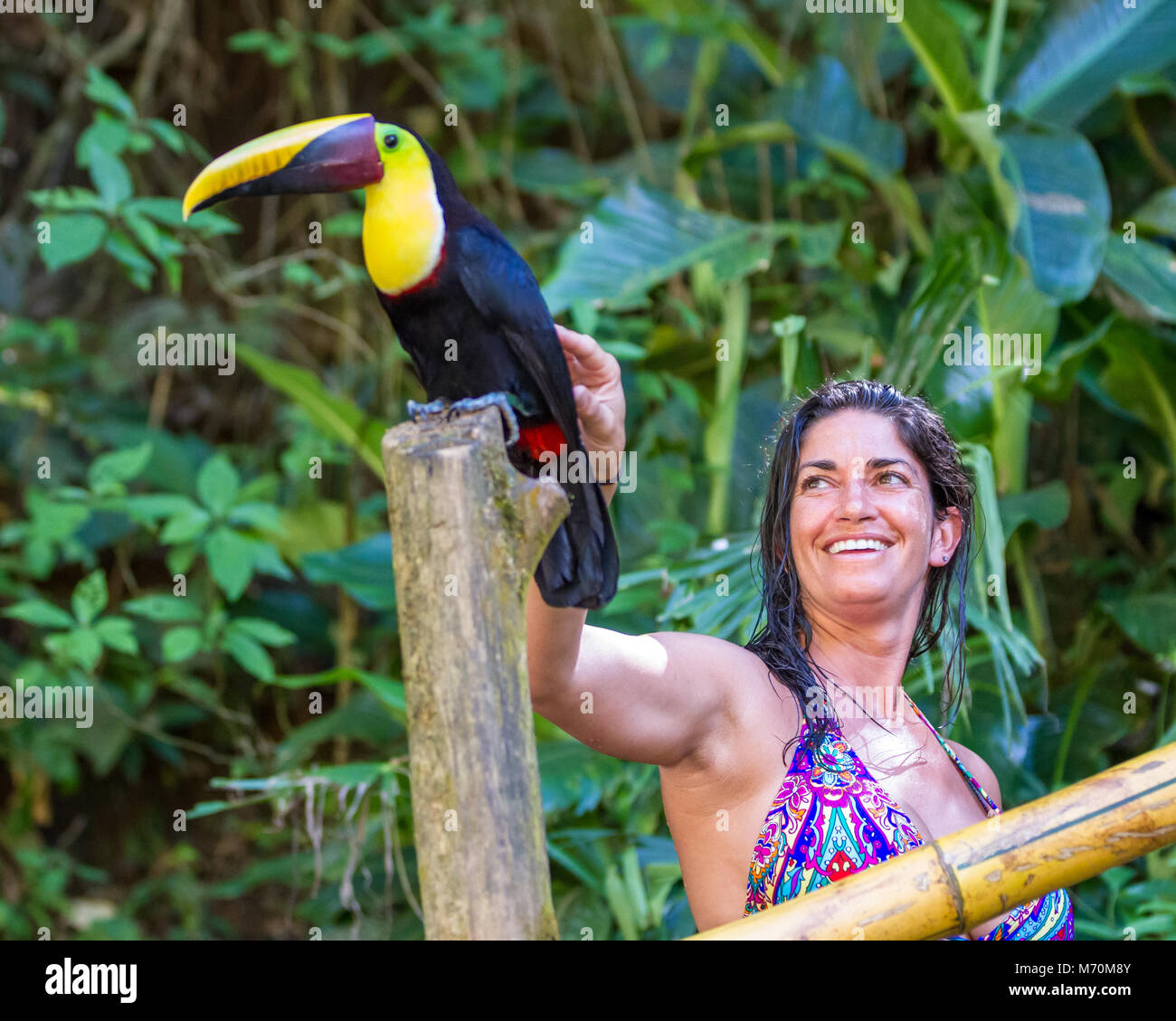 Nauyaca, Costa Rica - January 28: Woman petting a wild toucan in the ...