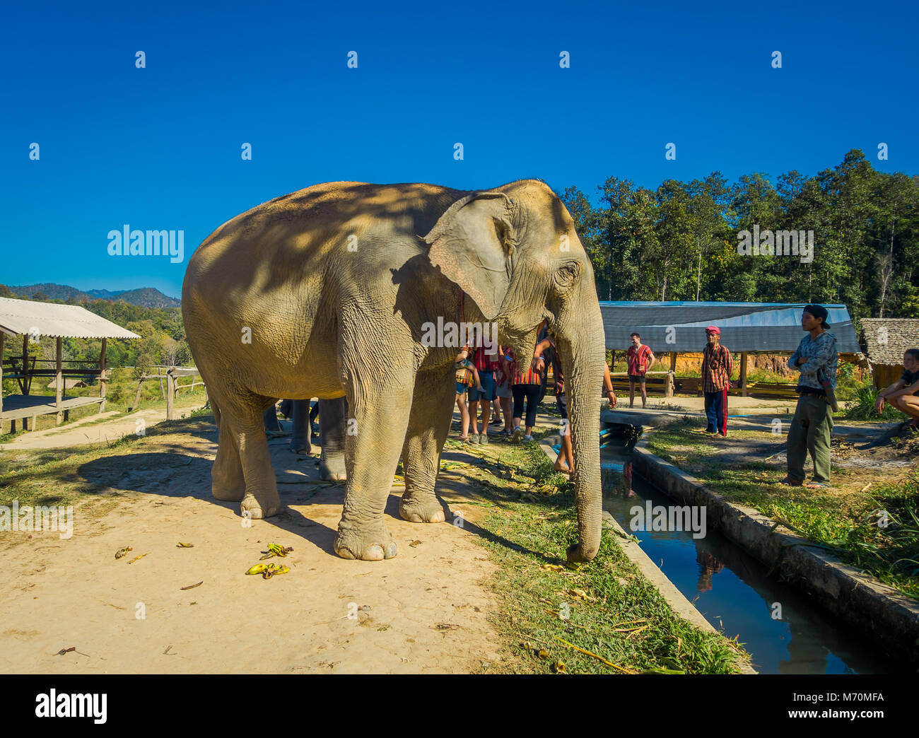 CHIANG RAI, THAILAND - FEBRUARY 01, 2018: Outdoor view of unidentified ...