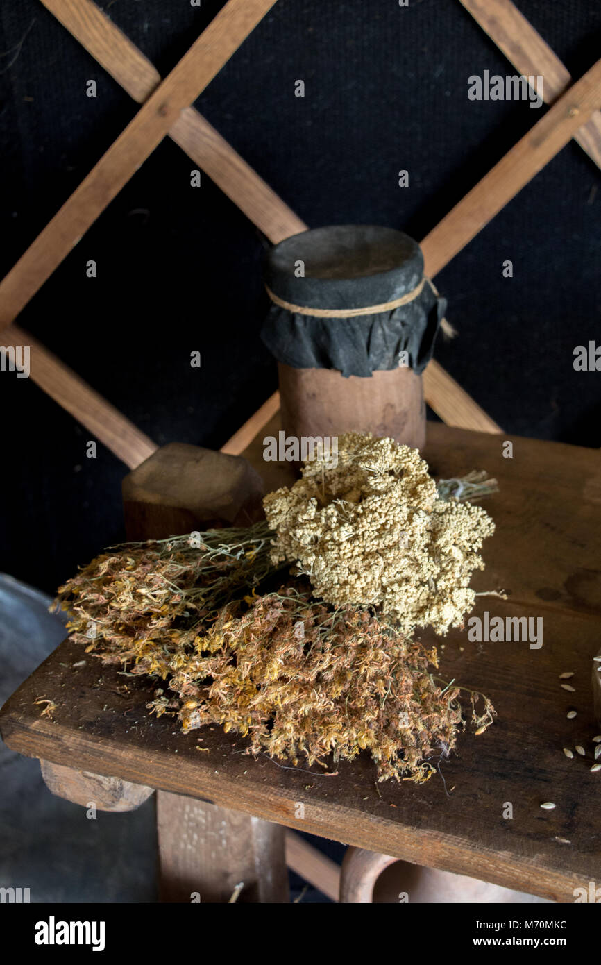 Beautiful colorful natural flowers in dry form Stock Photo - Alamy