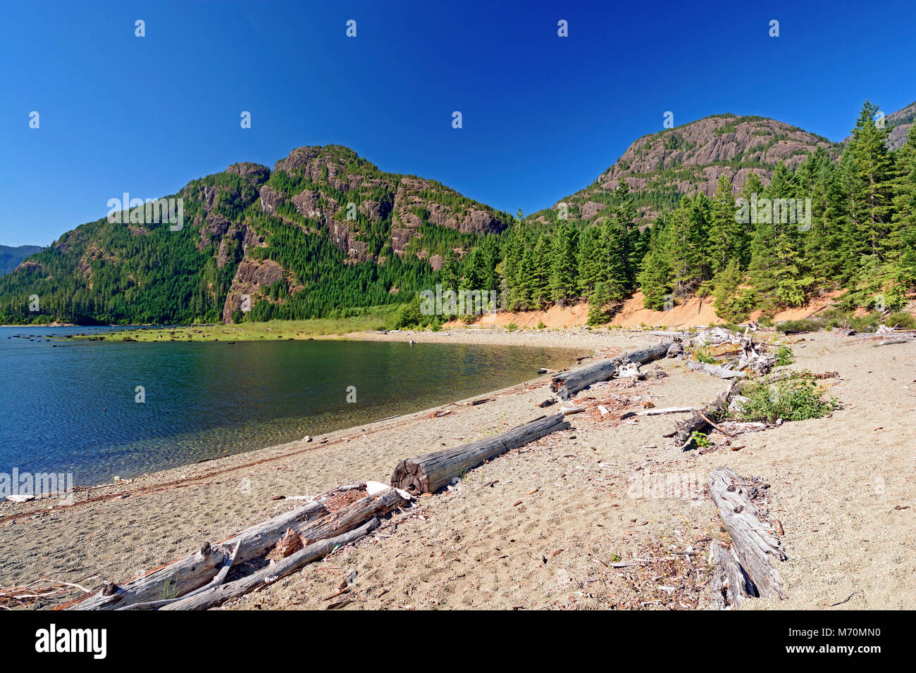 Remote shoreline on Buttle Lake in Strathcona Provincial Park in ...