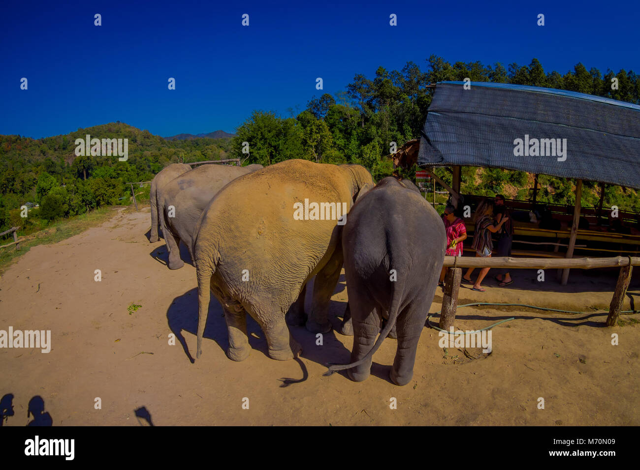 CHIANG RAI, THAILAND - FEBRUARY 01, 2018: Beautiful above view of ...
