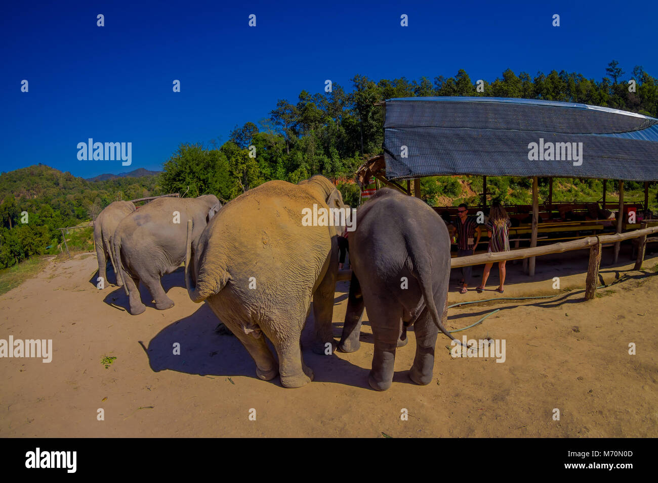 CHIANG RAI, THAILAND - FEBRUARY 01, 2018: Beautiful above view of ...