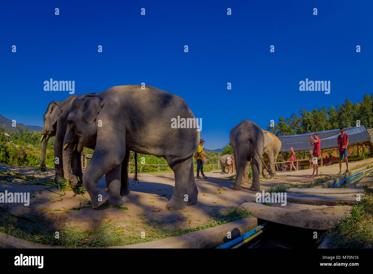 CHIANG RAI, THAILAND - FEBRUARY 01, 2018: Unidentified skinny guys ...