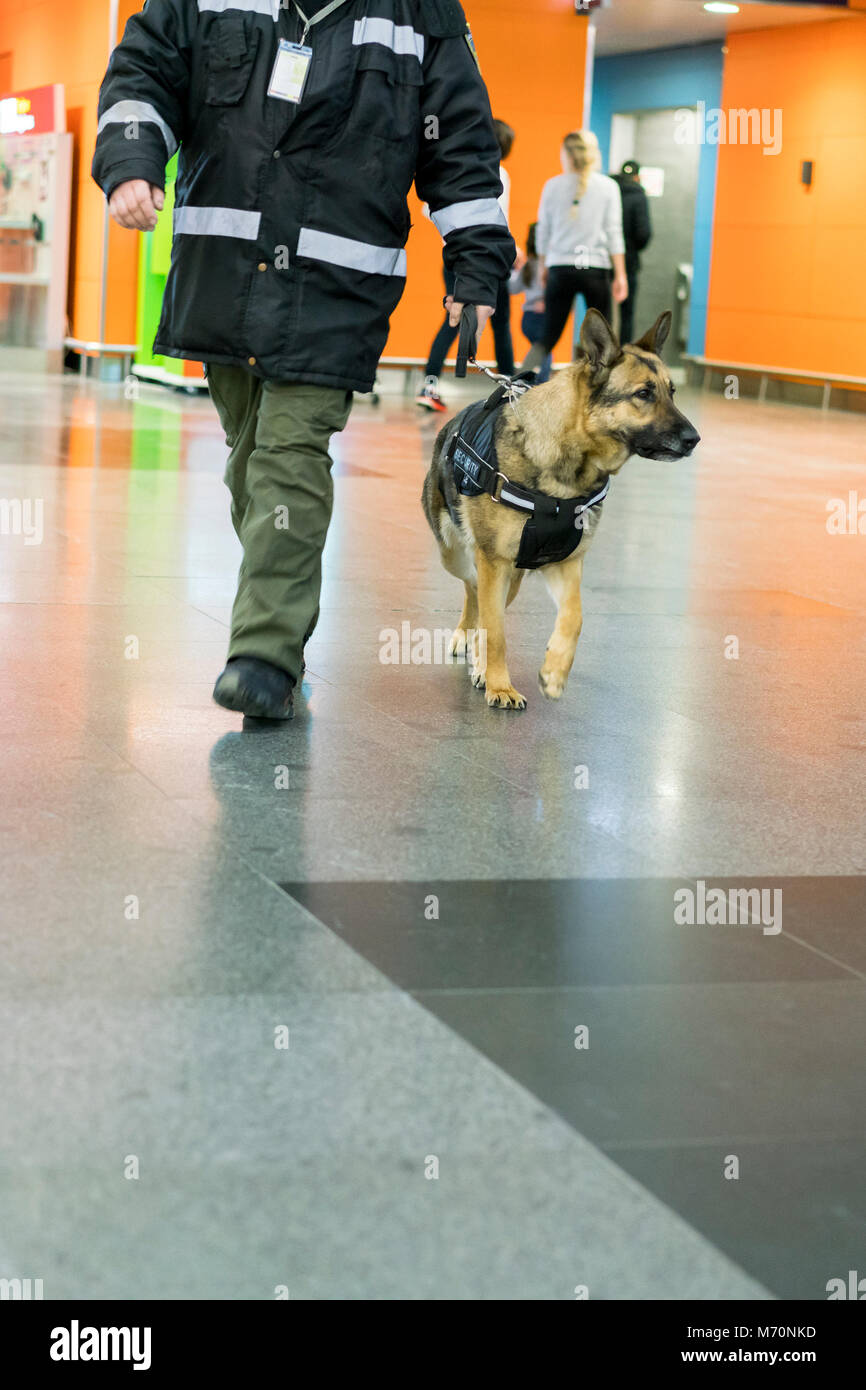 Security guard with a service dog. Search for drugs. Protection from ...