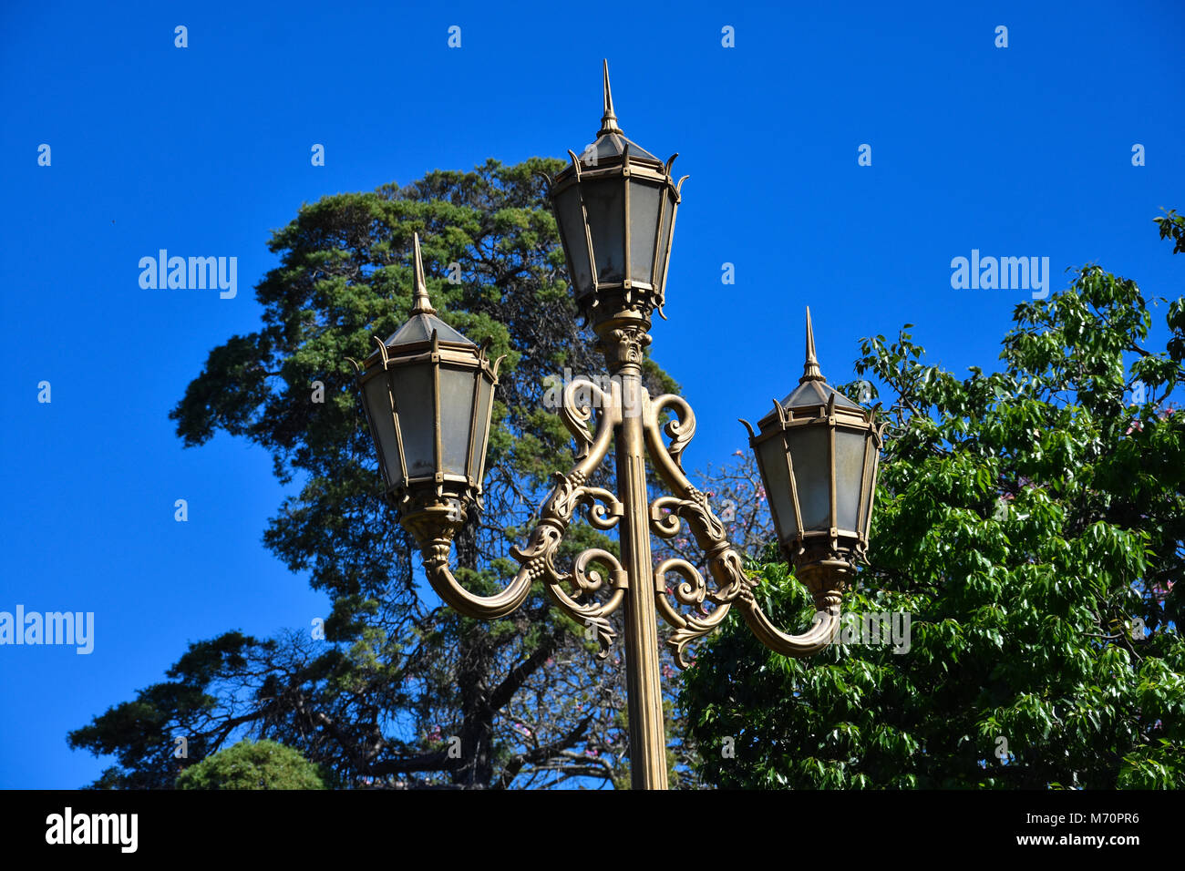 Arboles de argentina hi-res stock photography and images - Alamy