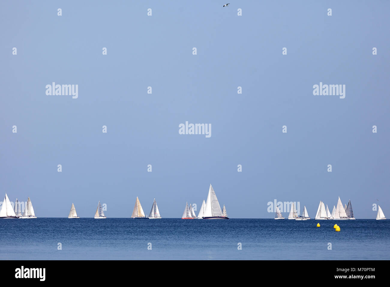 Boat racing water splash hi-res stock photography and images - Alamy