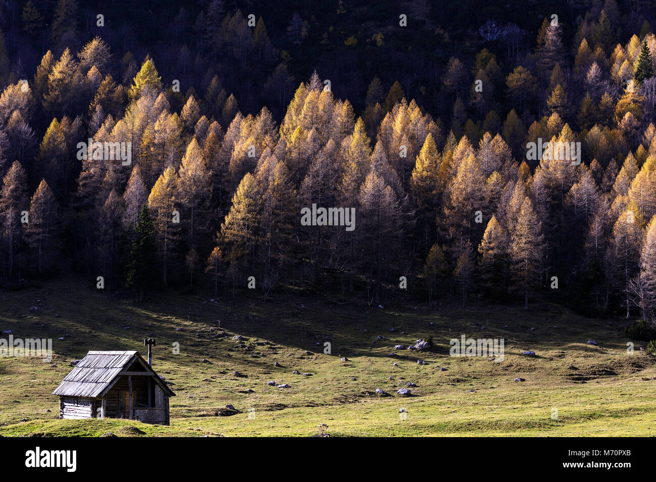 Rustic hut hi-res stock photography and images - Alamy