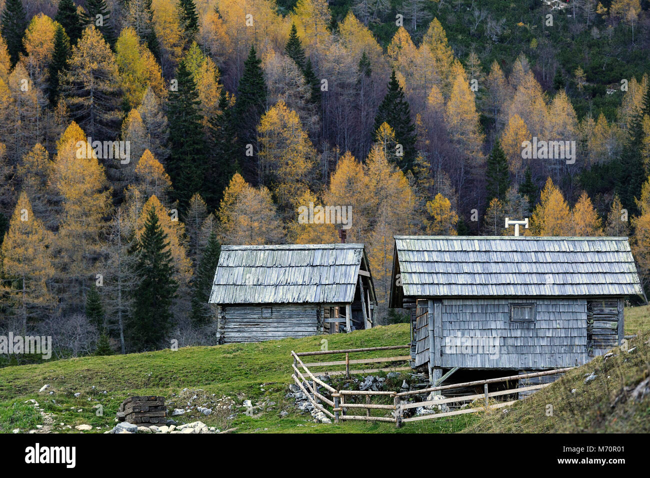 Golden hills hut hi-res stock photography and images - Alamy