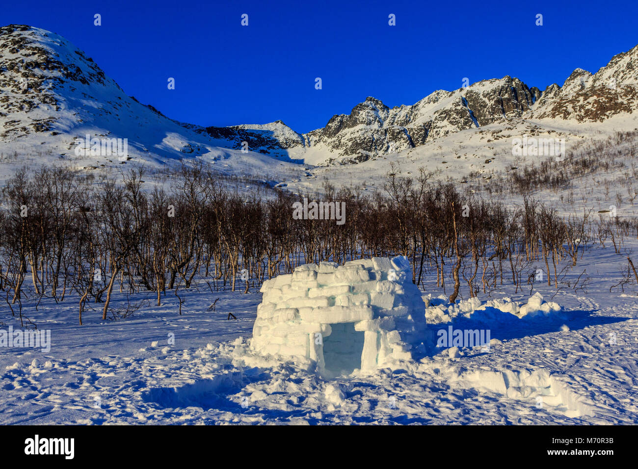 igloo ,Arctic Circle Kvaloya island Troms Tromso norway 2018 Stock ...
