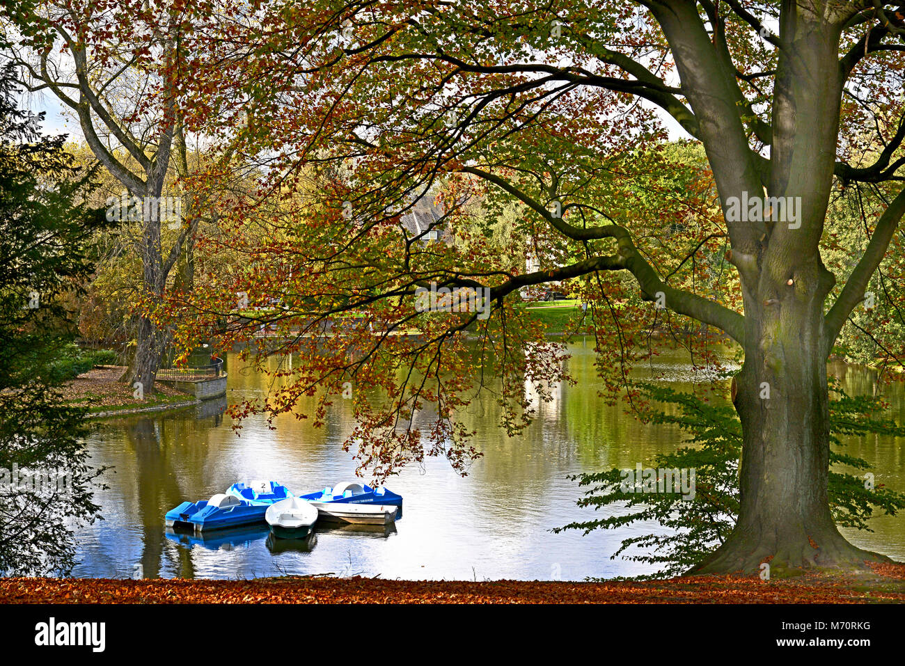 Bochum (Germany): See im Stadtpark Stock Photo - Alamy