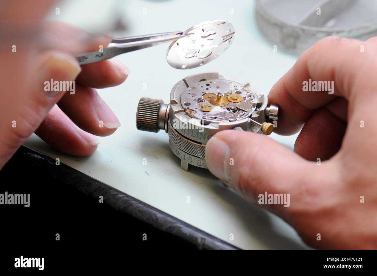 Watchmaker, repair specialist putting watch back together Stock Photo ...