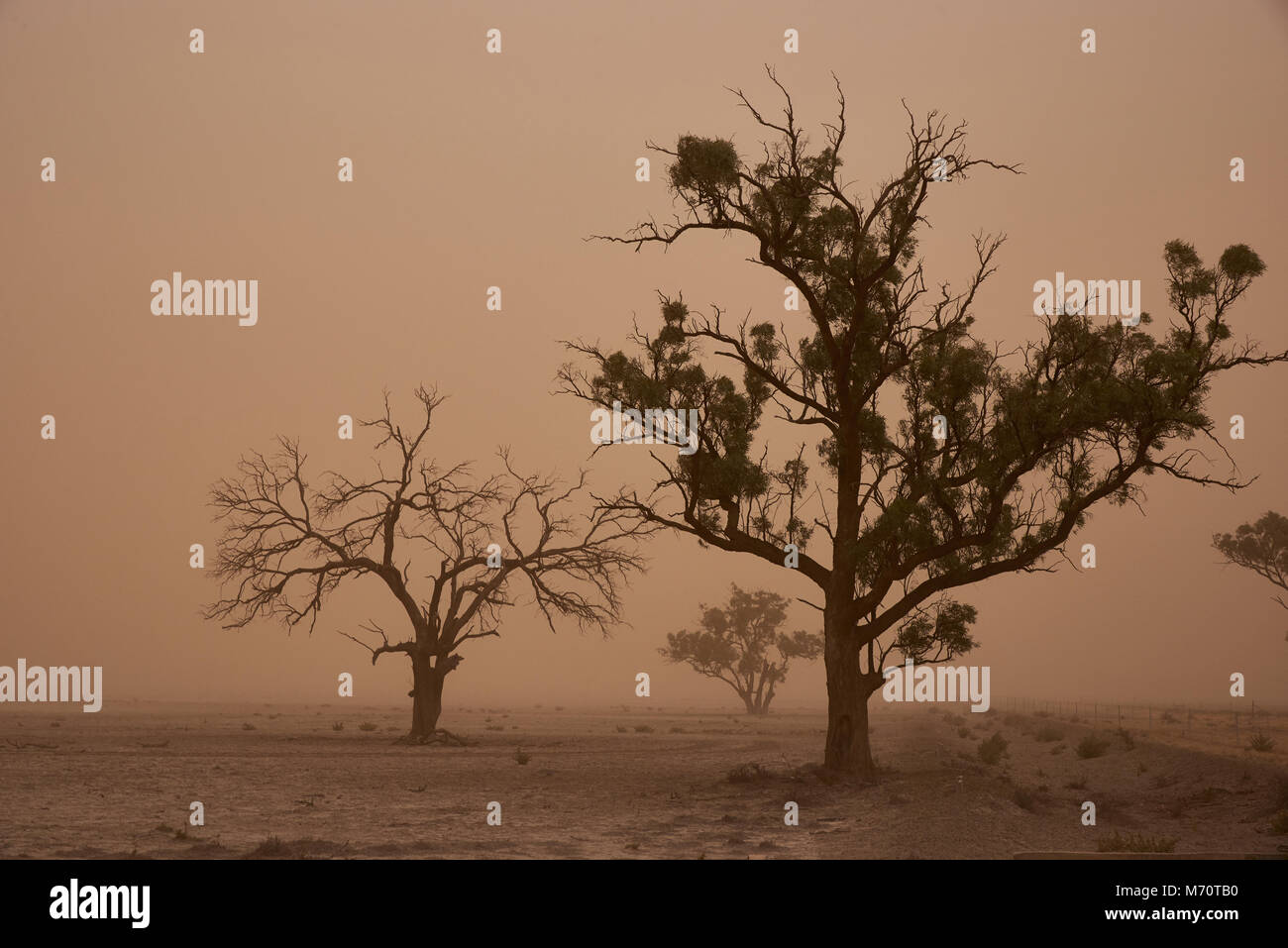 Dust environment hi-res stock photography and images - Alamy