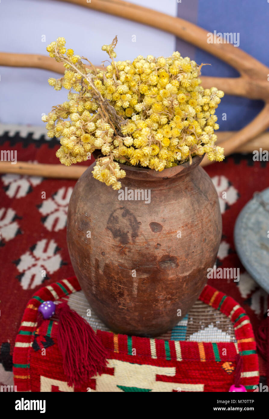 Beautiful colorful natural flowers in dry form Stock Photo - Alamy
