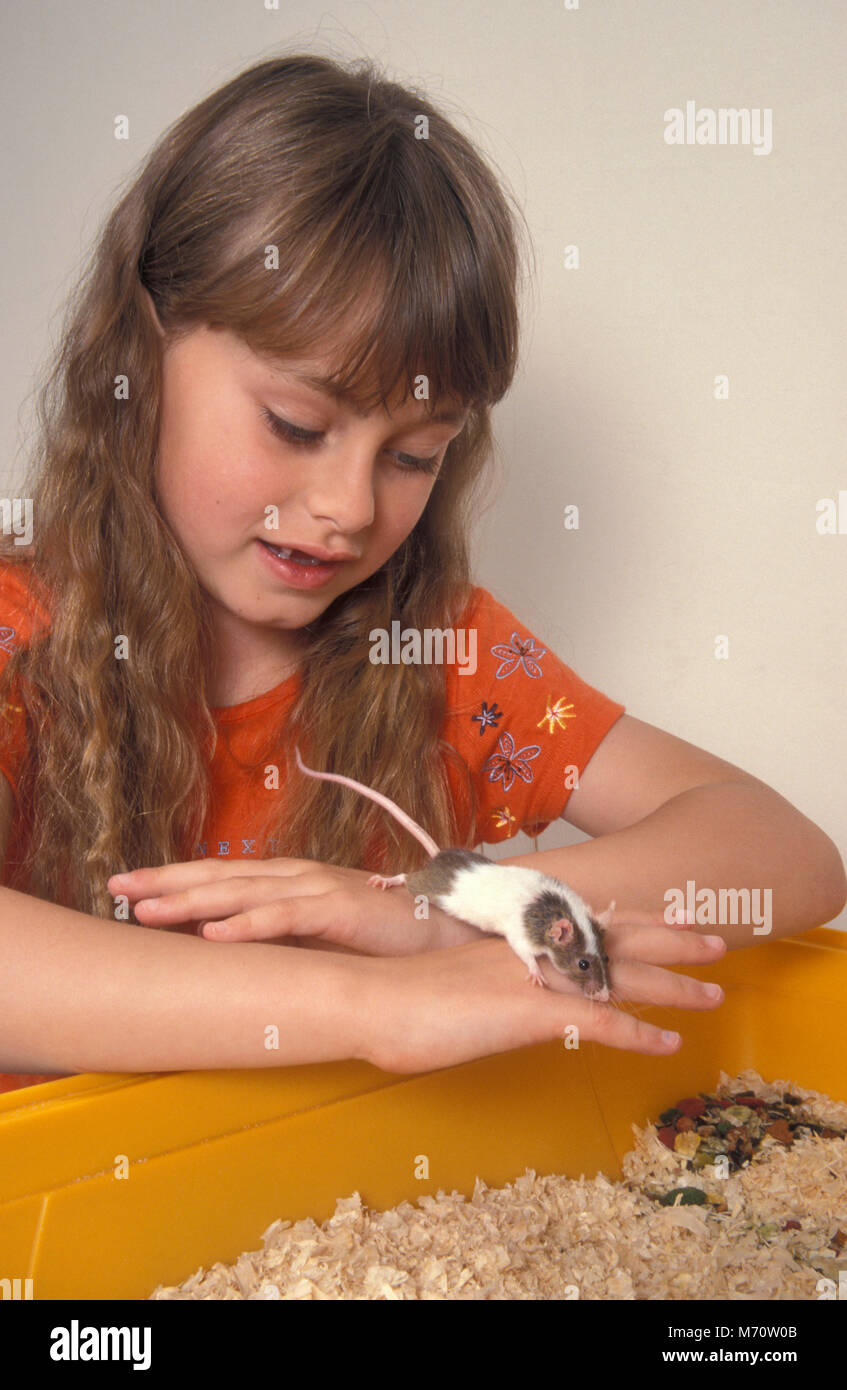 Inpemi01 hi-res stock photography and images - Alamy