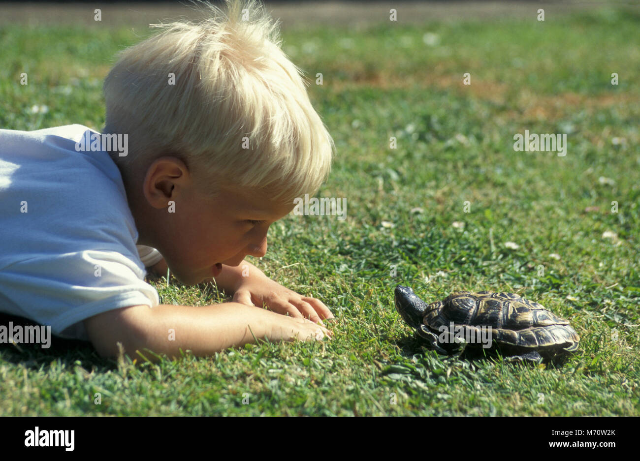 little boy lying down on grass with pet tortoise Stock Photo - Alamy