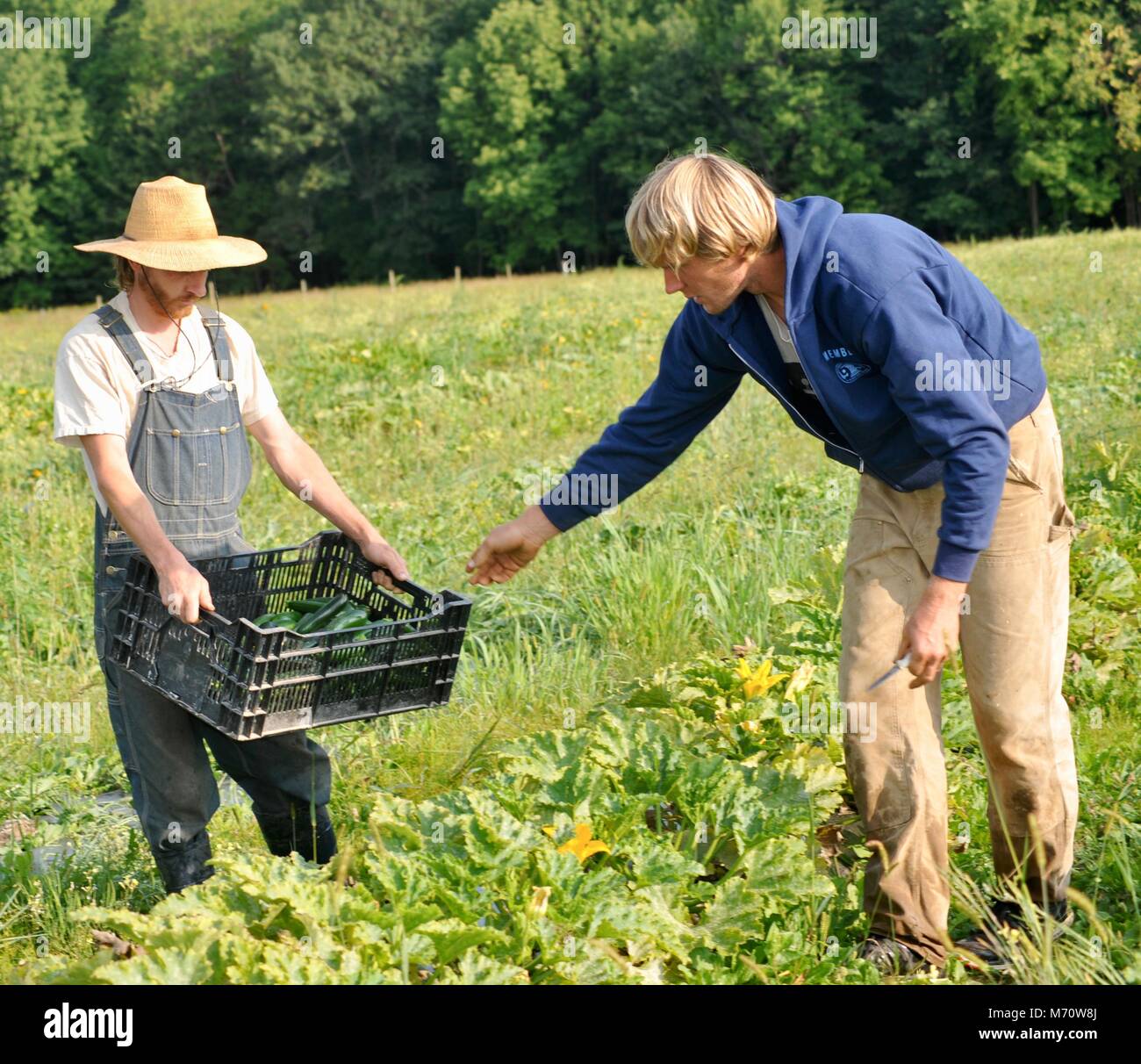 American Farmers Working