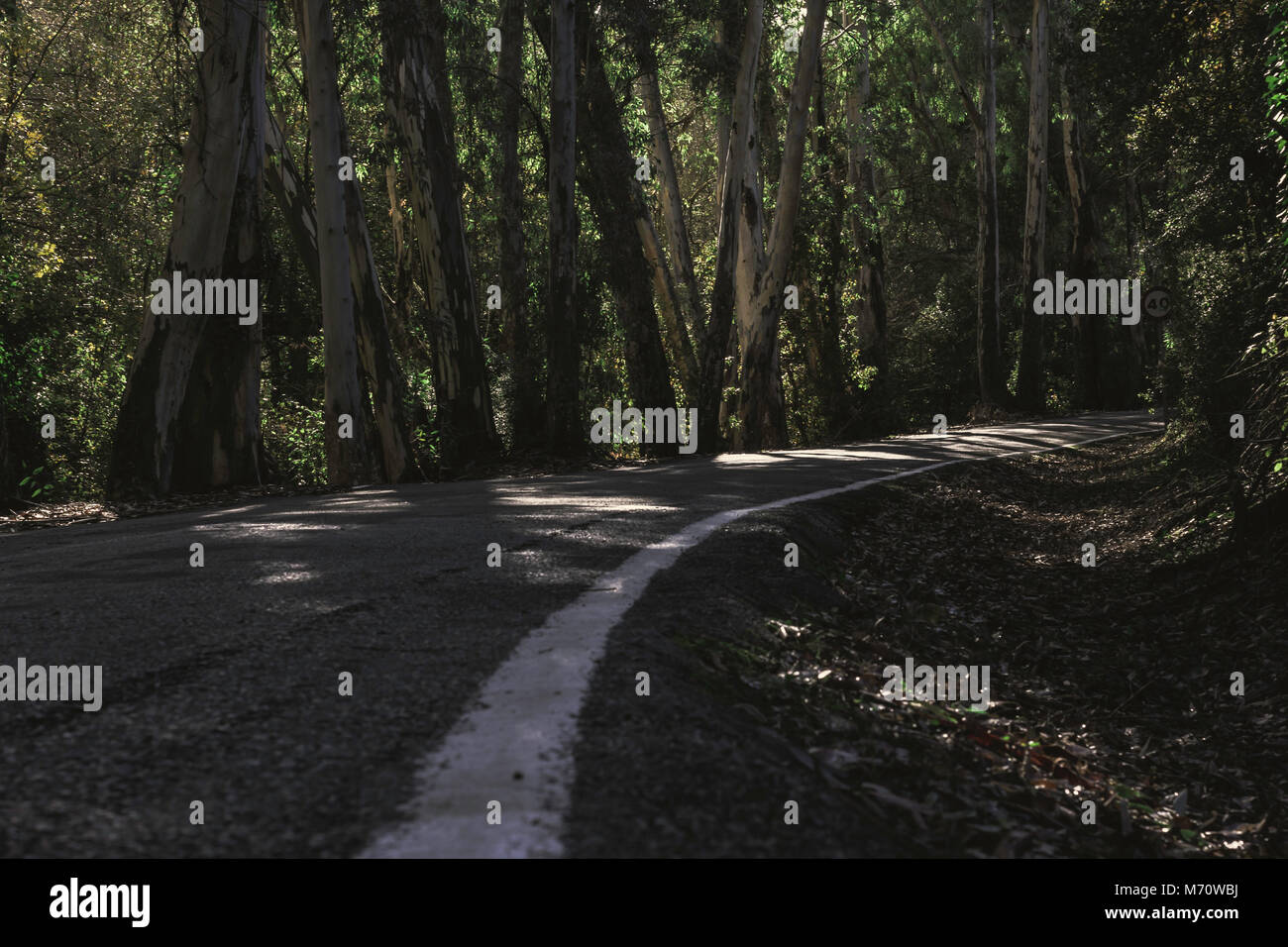 Curved rural lane hi-res stock photography and images - Alamy