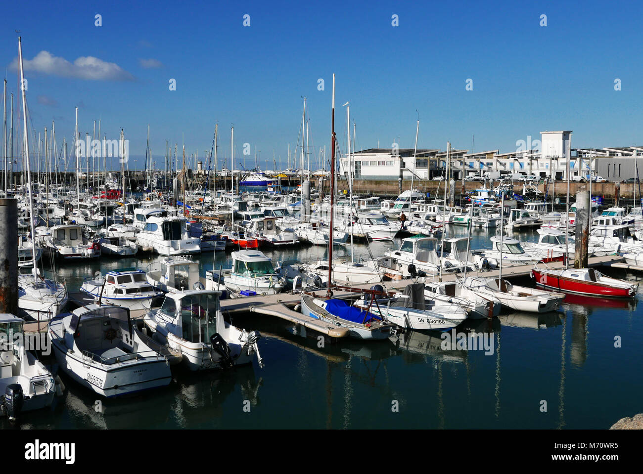 Loire atlantique fish hi-res stock photography and images - Alamy