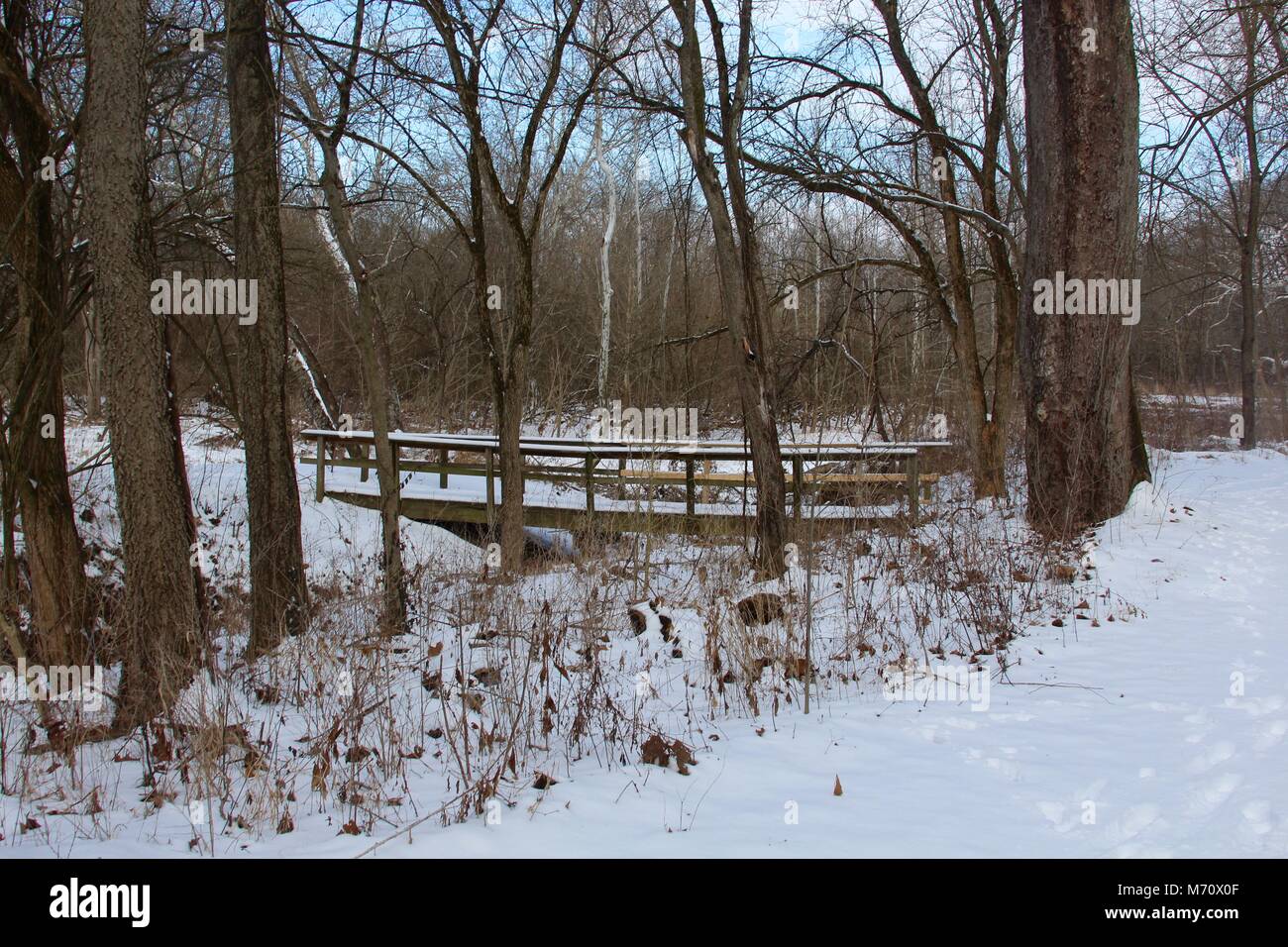 The snowy days in the parks, trails and the forest in the winter season ...