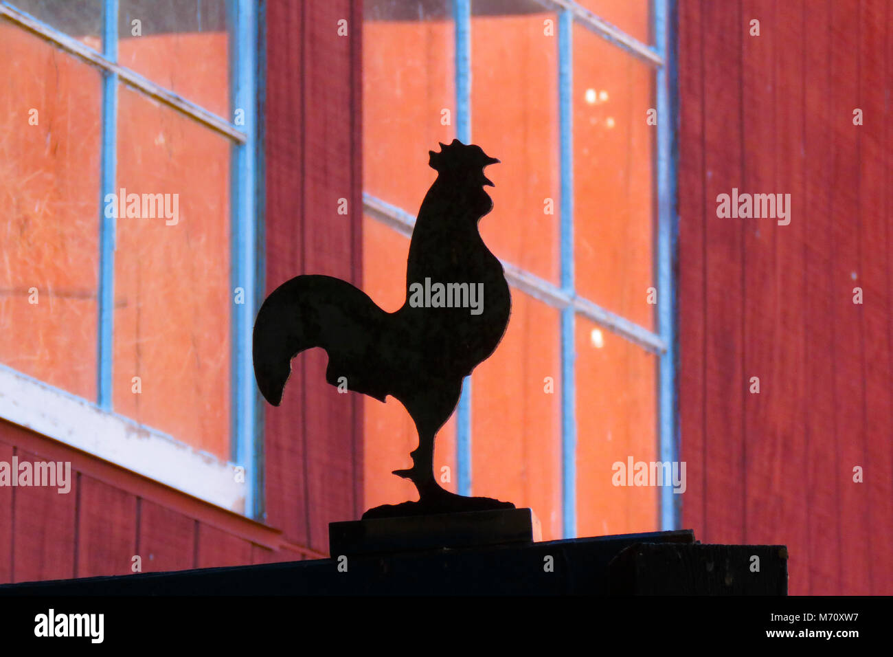 Rooster weathervane seen alongside a red painted barn Stock Photo - Alamy