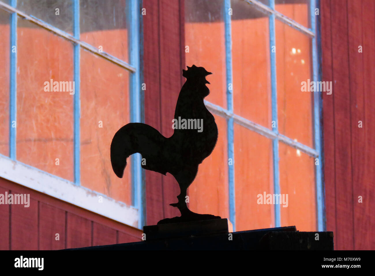 Rooster weathervane seen alongside a red painted barn Stock Photo - Alamy