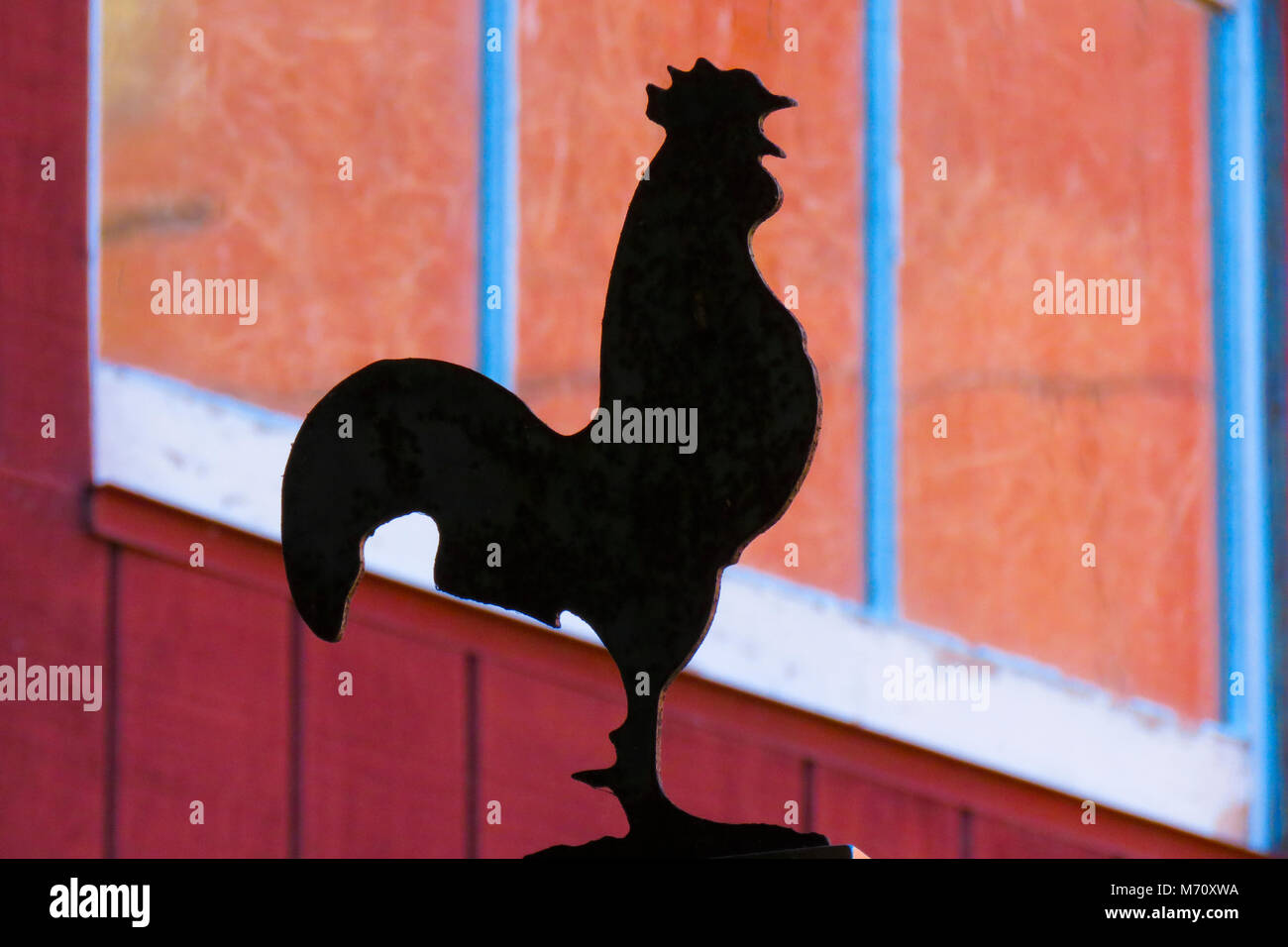 Rooster weathervane seen alongside a red painted barn Stock Photo - Alamy