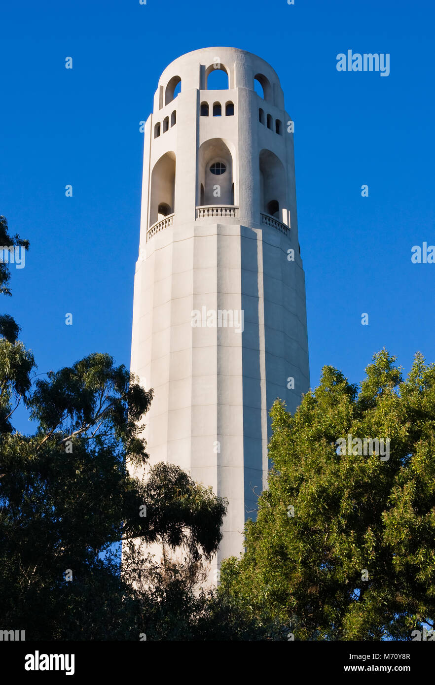 Coit Tower in San Francisco Stock Photo - Alamy