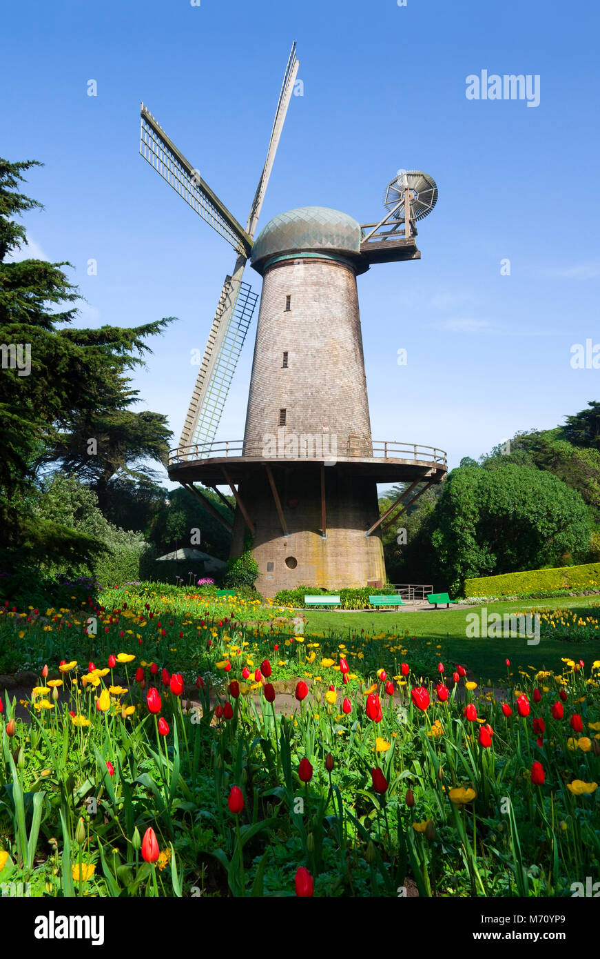 Dutch windmill in San Francisco Stock Photo - Alamy