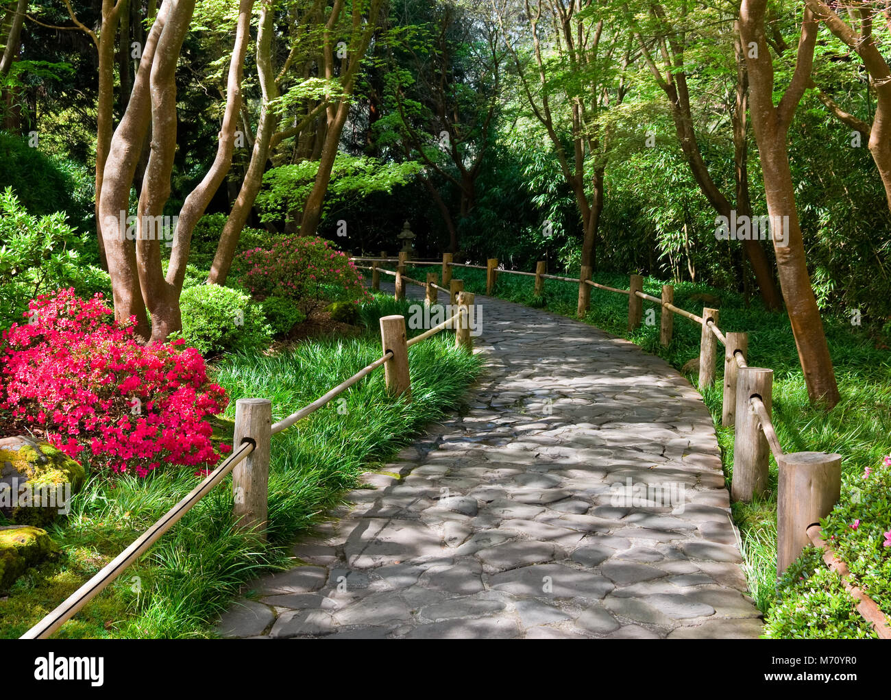 Stone walkway in Japanese Tea Garden, San Francisco Stock Photo - Alamy