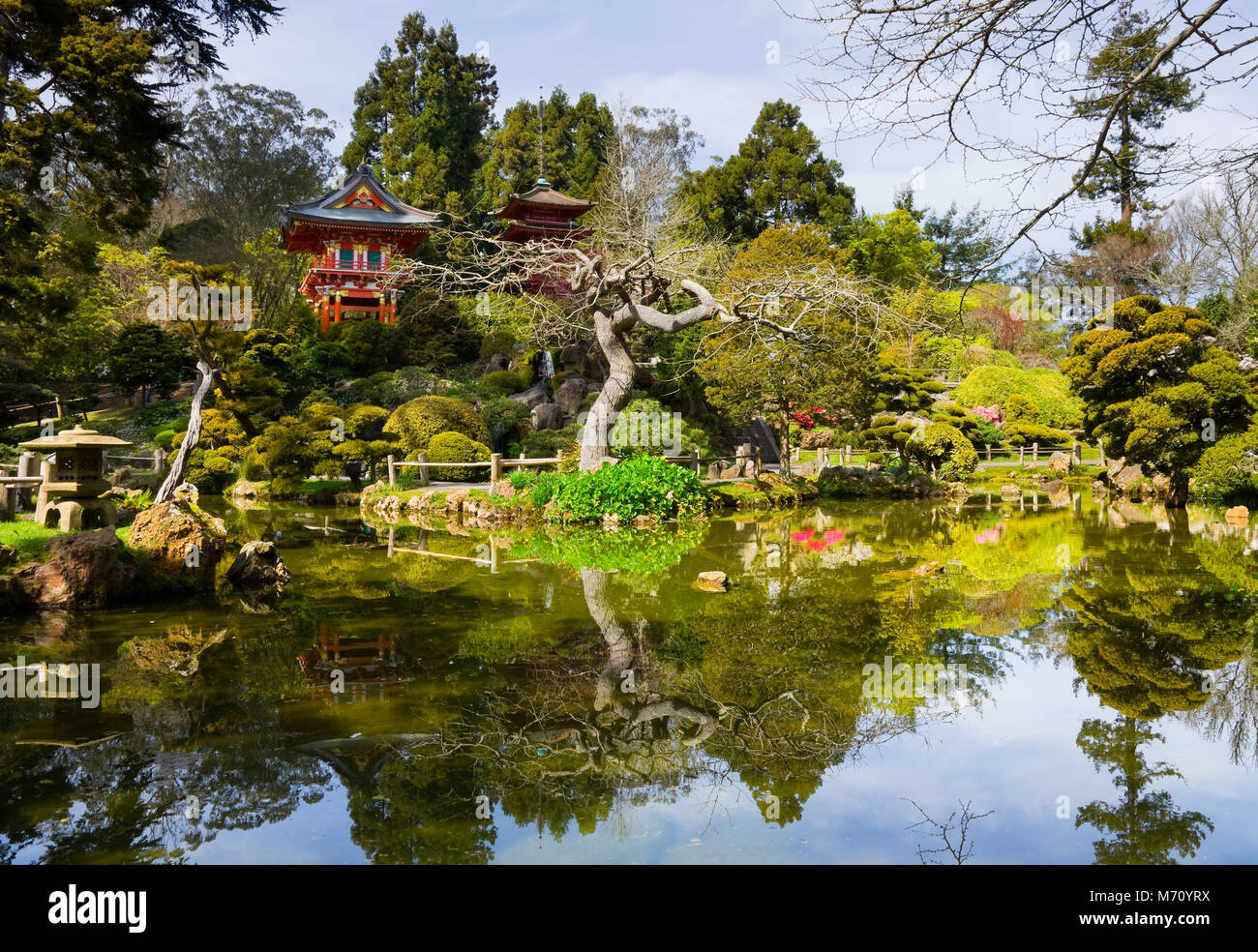 Japanese tea garden hi-res stock photography and images - Alamy