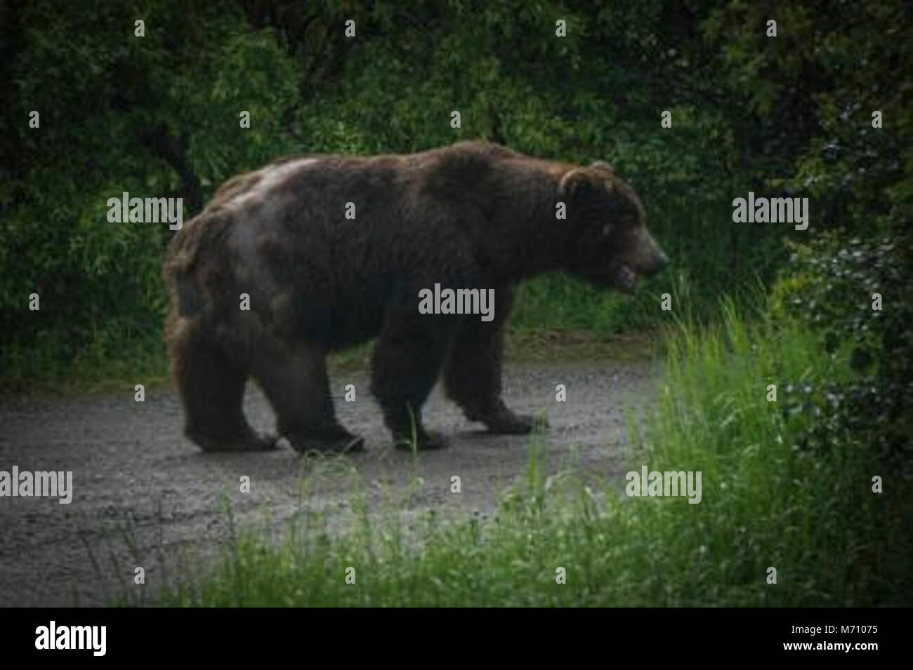 ARamos . 32 Chunk, June 2016 Stock Photo - Alamy