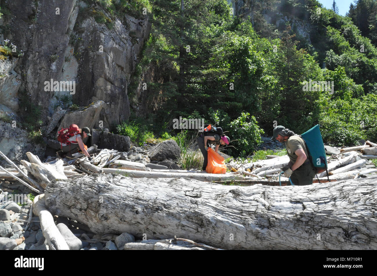 Collecting Hallo Stock Photo - Alamy