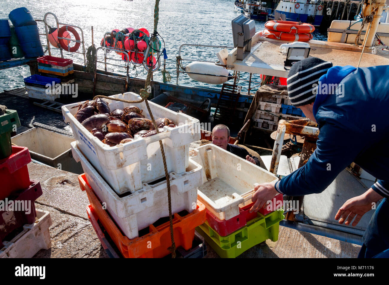 Burtonport, County Donegal, Ireland. 7th March 2018. Crab are unloaded ...