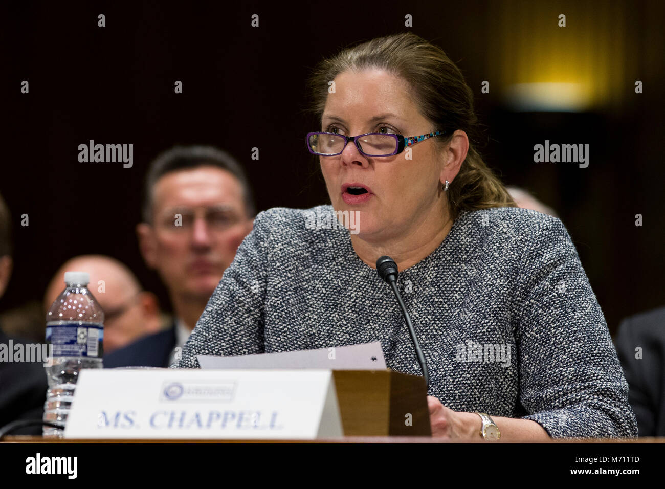 Raytheon Vice President for Intelligence, Information, and Services ...