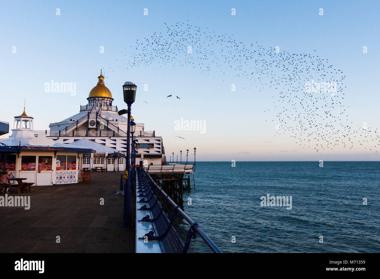 Eastbourne murmuration hi-res stock photography and images - Alamy