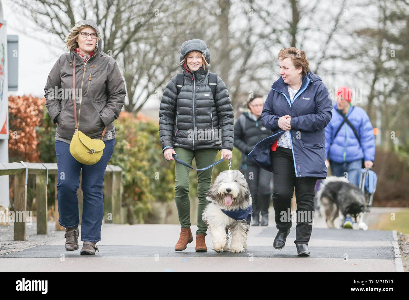 Birmingham, UK. 8th Mar, 2018. On the first day of Crufts, the largest ...