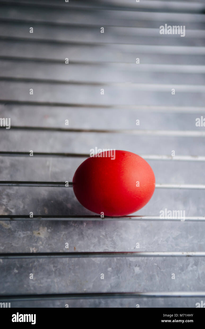 Single Red colored egg with red tint is displayed on a metallic grate ...