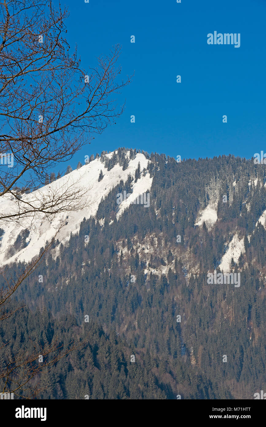 Essert hi-res stock photography and images - Alamy