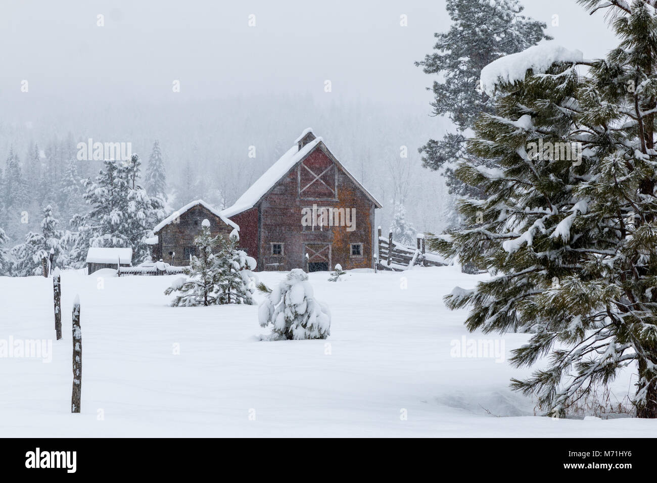 Faded white barn hi-res stock photography and images - Alamy