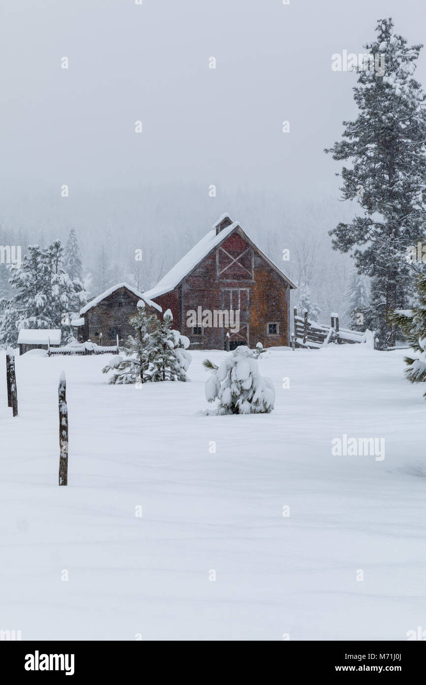Faded white barn hi-res stock photography and images - Alamy