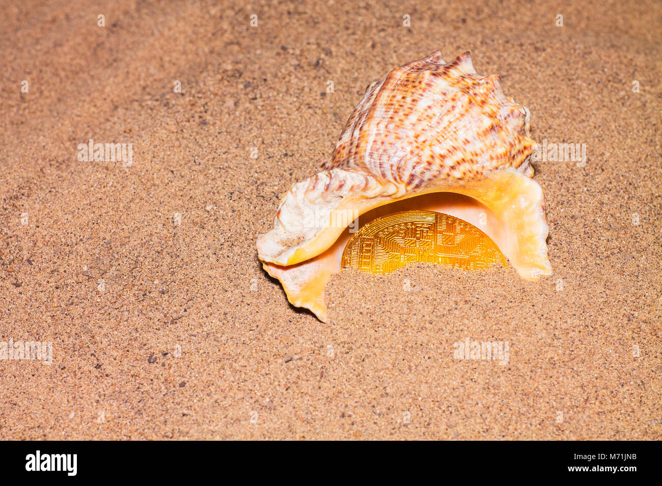 Crypto currency bitcoin in the sand in the shell Stock Photo - Alamy