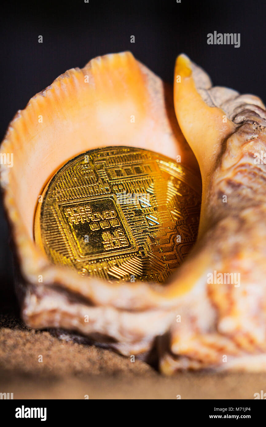 Crypto currency bitcoin in the sand in the shell Stock Photo - Alamy