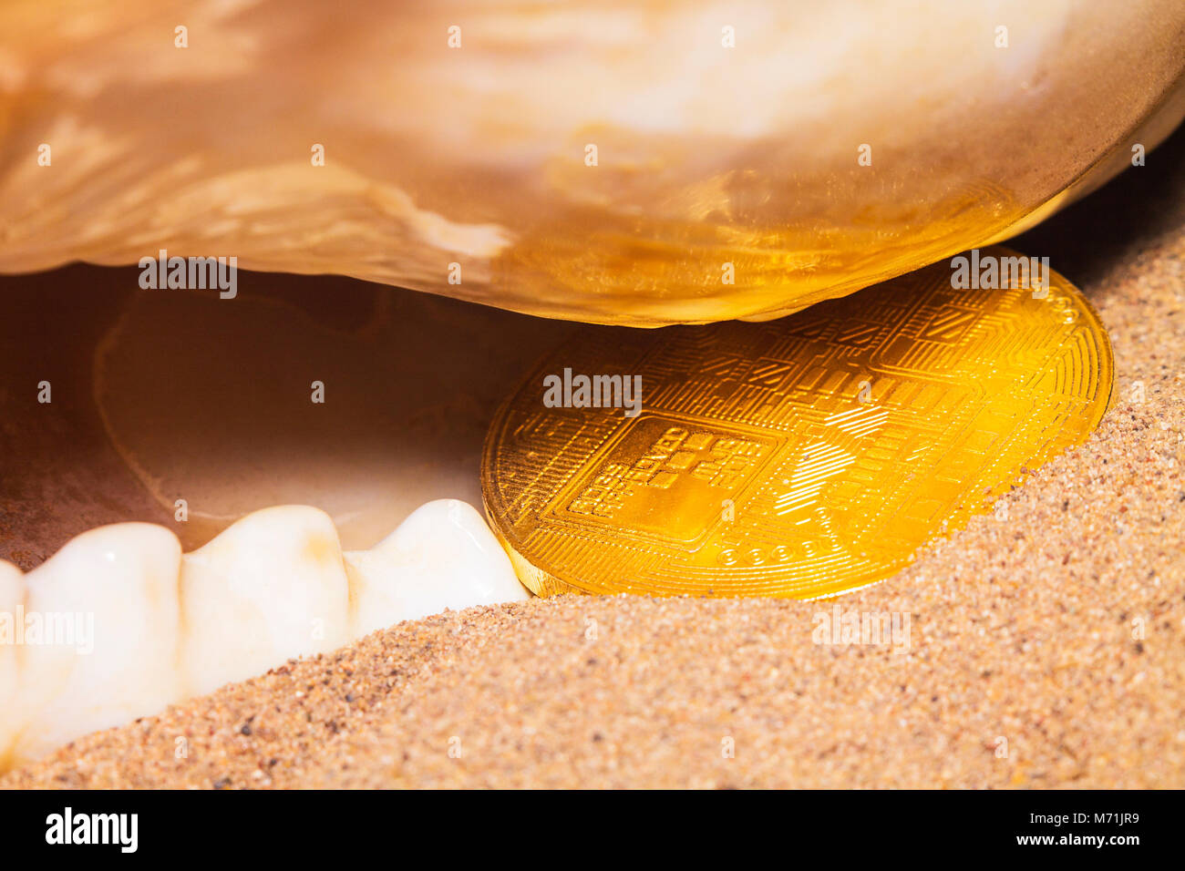 Crypto active hi-res stock photography and images - Alamy