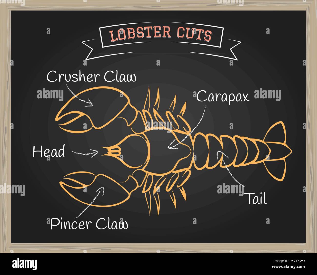 Lobster illustration diagram hi-res stock photography and images - Alamy