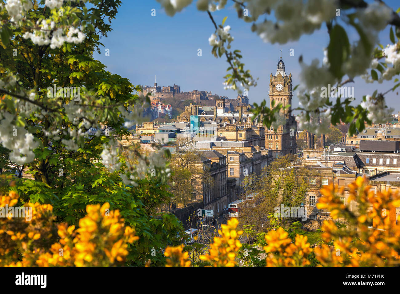 View of old town Edinburgh with spring trees in Scotland Stock Photo ...