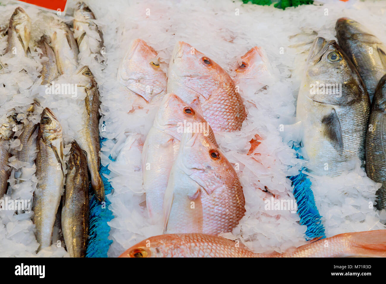 Shellfish assortment hi-res stock photography and images - Alamy