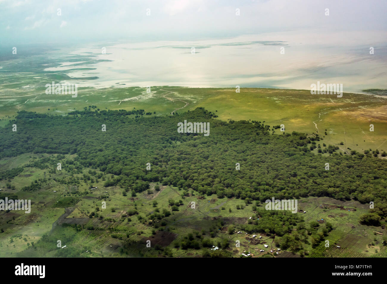 Manyara flamingo hi-res stock photography and images - Alamy
